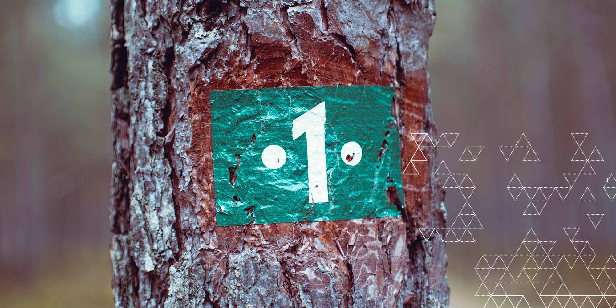 About Us - AGN International