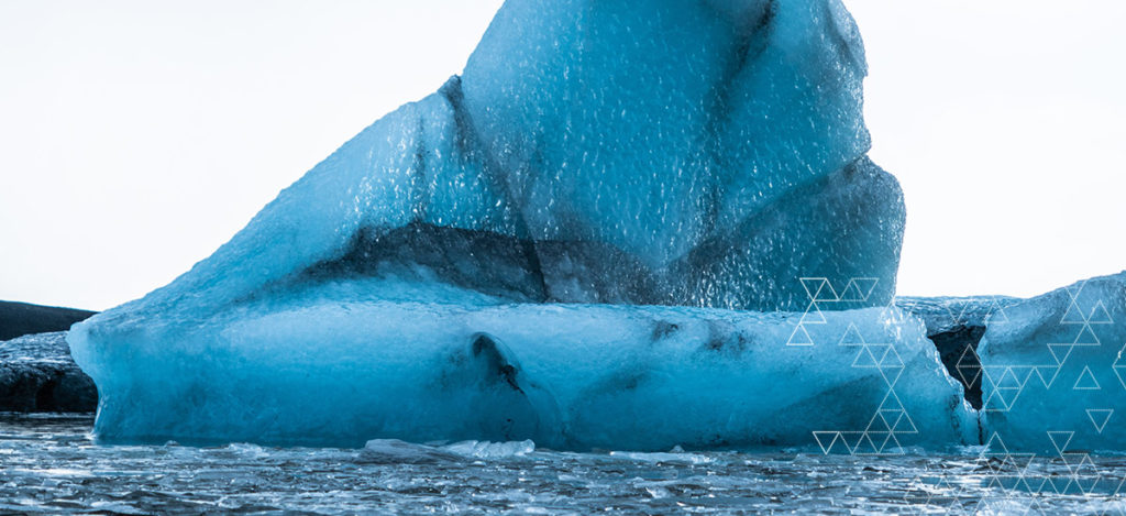 Insights - AGN International